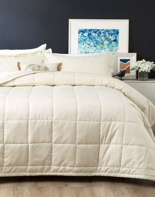 Check Ivory 500tc Cotton Comforter Set By Park Avenue Cottonbox Pty Ltd
