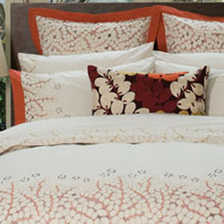 Cotton House – Cottonbox Pty Ltd