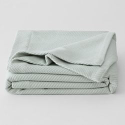 Cotton Plush Spearmint Cot Blanket (120 x 120cm) by Sheridan Junior ...
